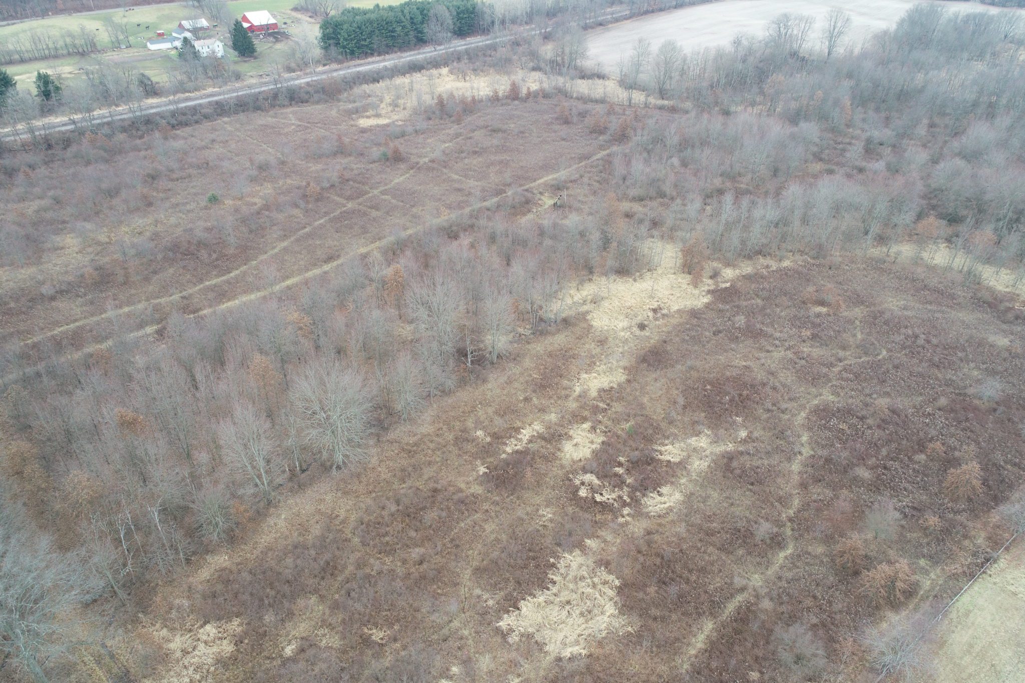 Falcon Flats Reborn: A Wetland Restoration Reveal – The Wilderness Center